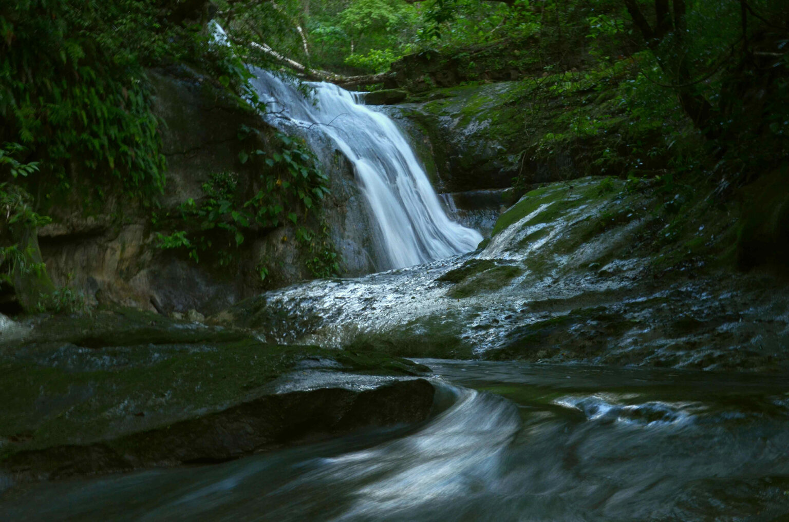 El parque Amboró, la fuente de agua para Santa Cruz - Fundación Natura ...